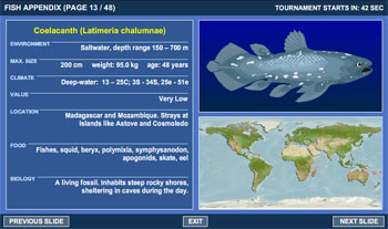 Bigtime Fishing Flash Game at Office Game Spot: Free Online Games